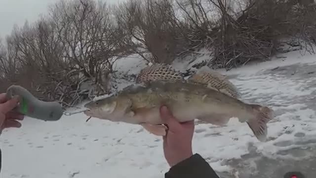 ТАКОГО Я НЕ ОЖИДАЛ!!! ДУМАЛ ШАНДЕЦ ХАПУГИ!!!