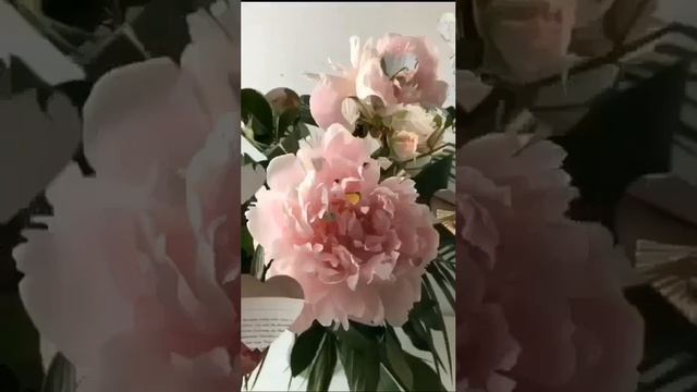 Нежное , доброе, женское сердце. Христианское пение.