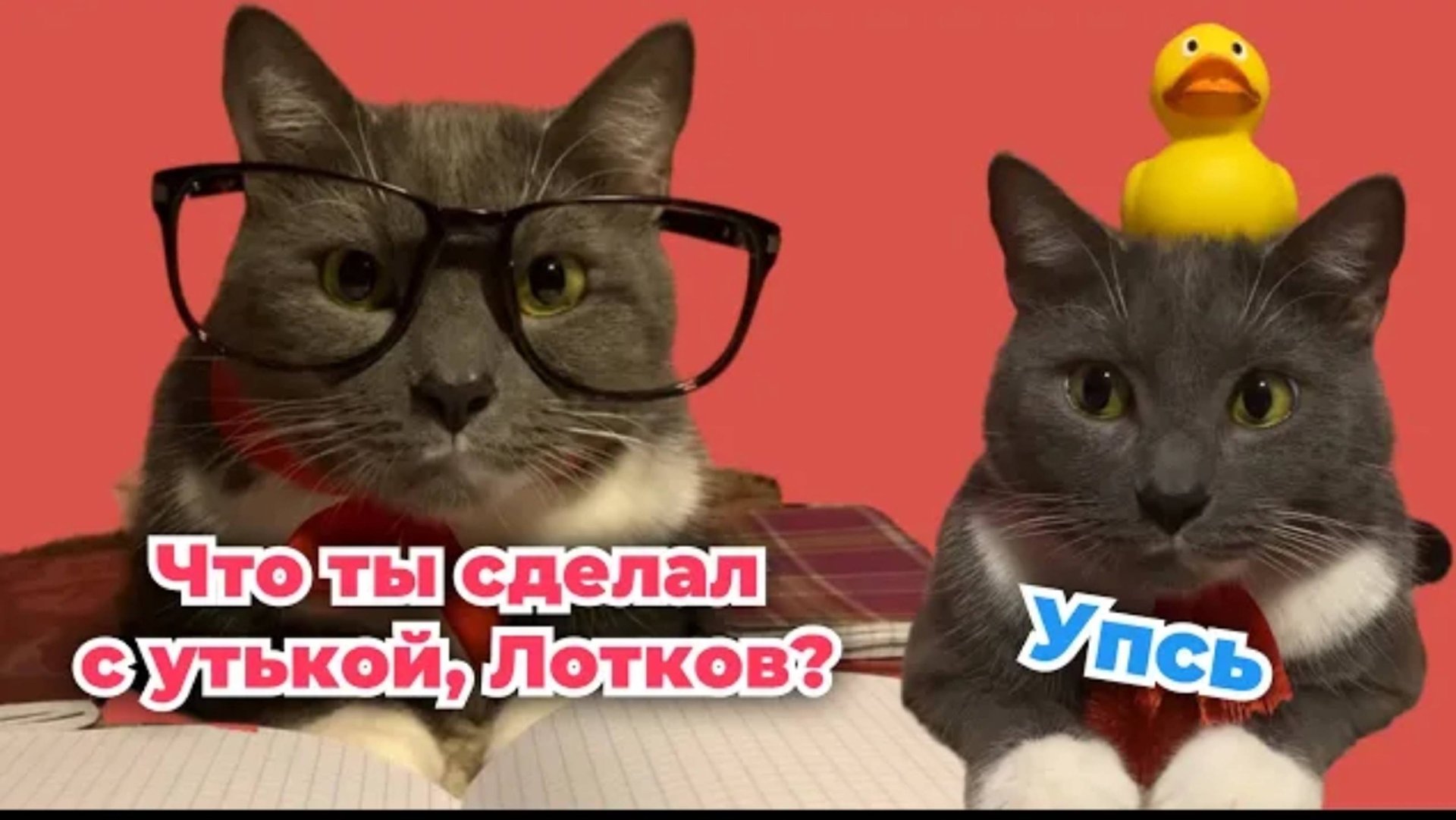 ЕСЛИ БЫ КОТИКИ ХОДИЛИ В ШКОЛУ-ПИСЬМО ДЕДУ МОРОЗУ