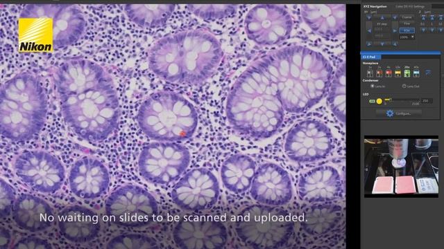 Лабораторный профессиональный микроскоп Nikon Eclipse Ci с дистанционным управлением