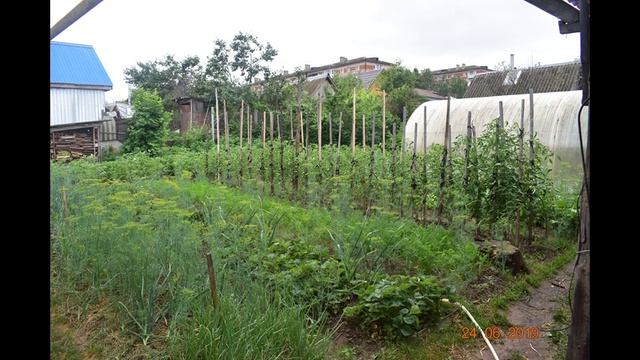 Наш огород. Весь год за 1 минуту.