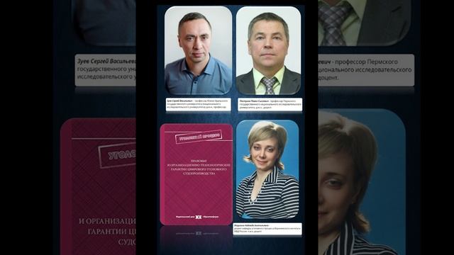 Правовые и организационно-технологические гарантии цифрового уголовного судопроизводства