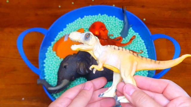 Изучаем животных. Акула, осьминог, черепаха, лошадь, корова, лев, зебра, слон