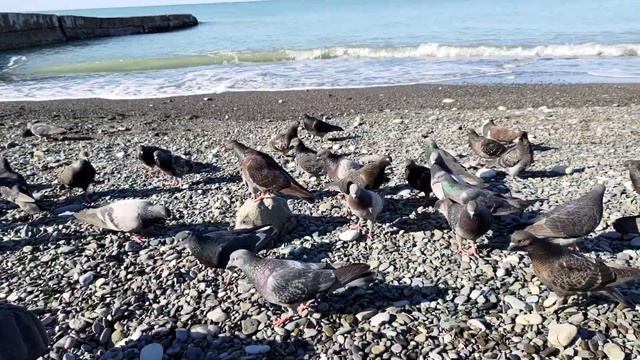 Пробежка по Сочи, готовлюсь к ГТО