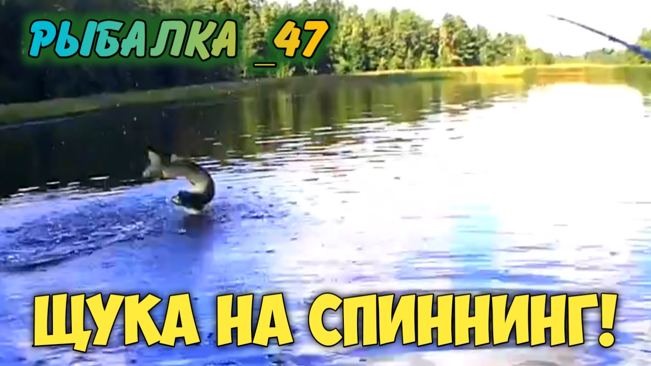 Рыбалка на заливе.