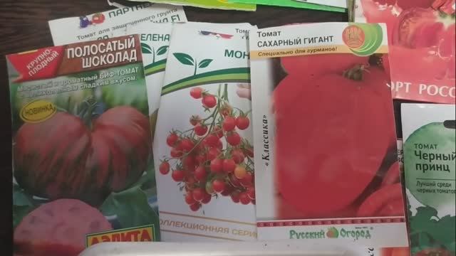 Как правильно посеять томаты на рассаду: секреты дружных всходов!