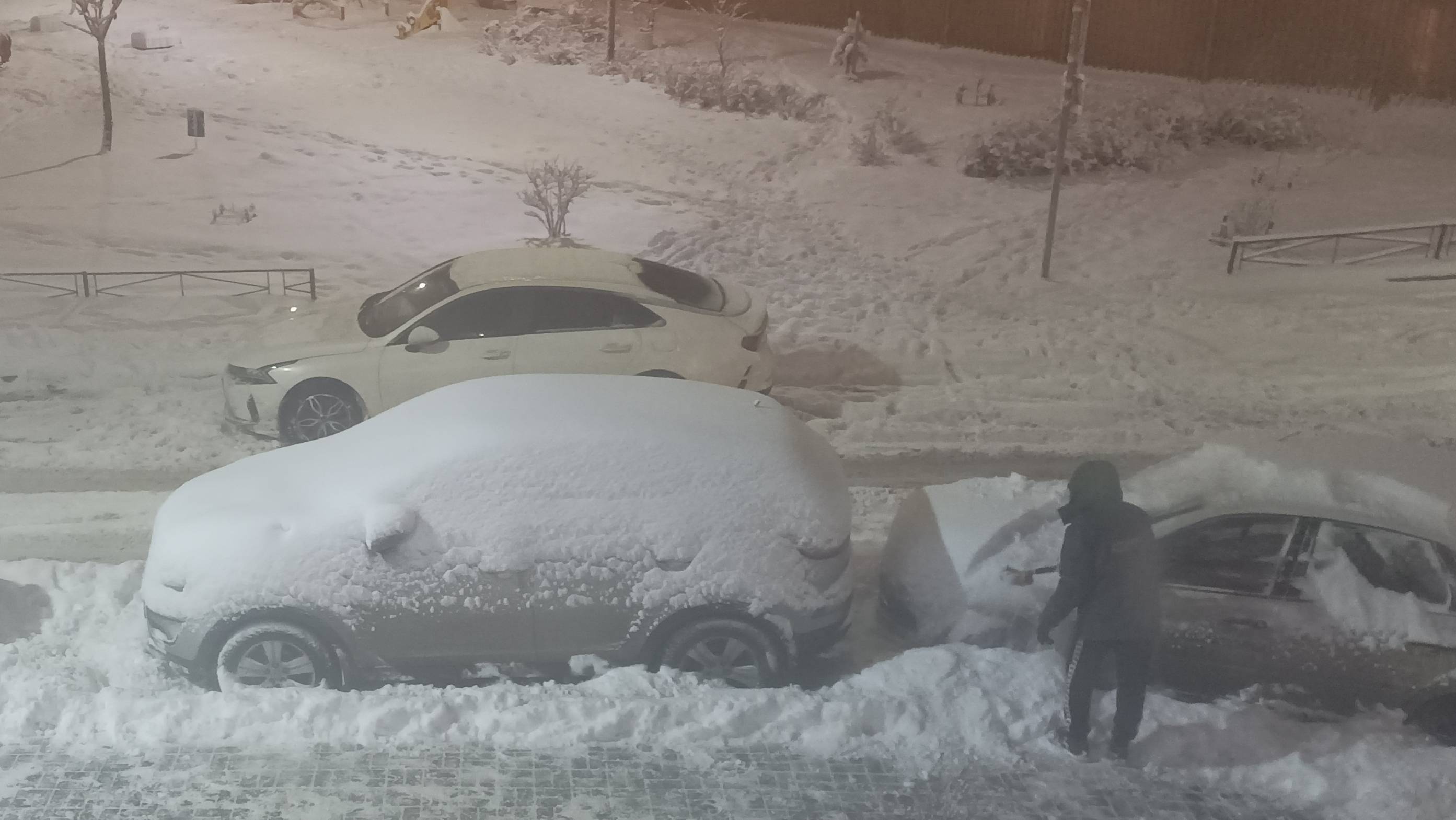 Прогулка по первому снегу