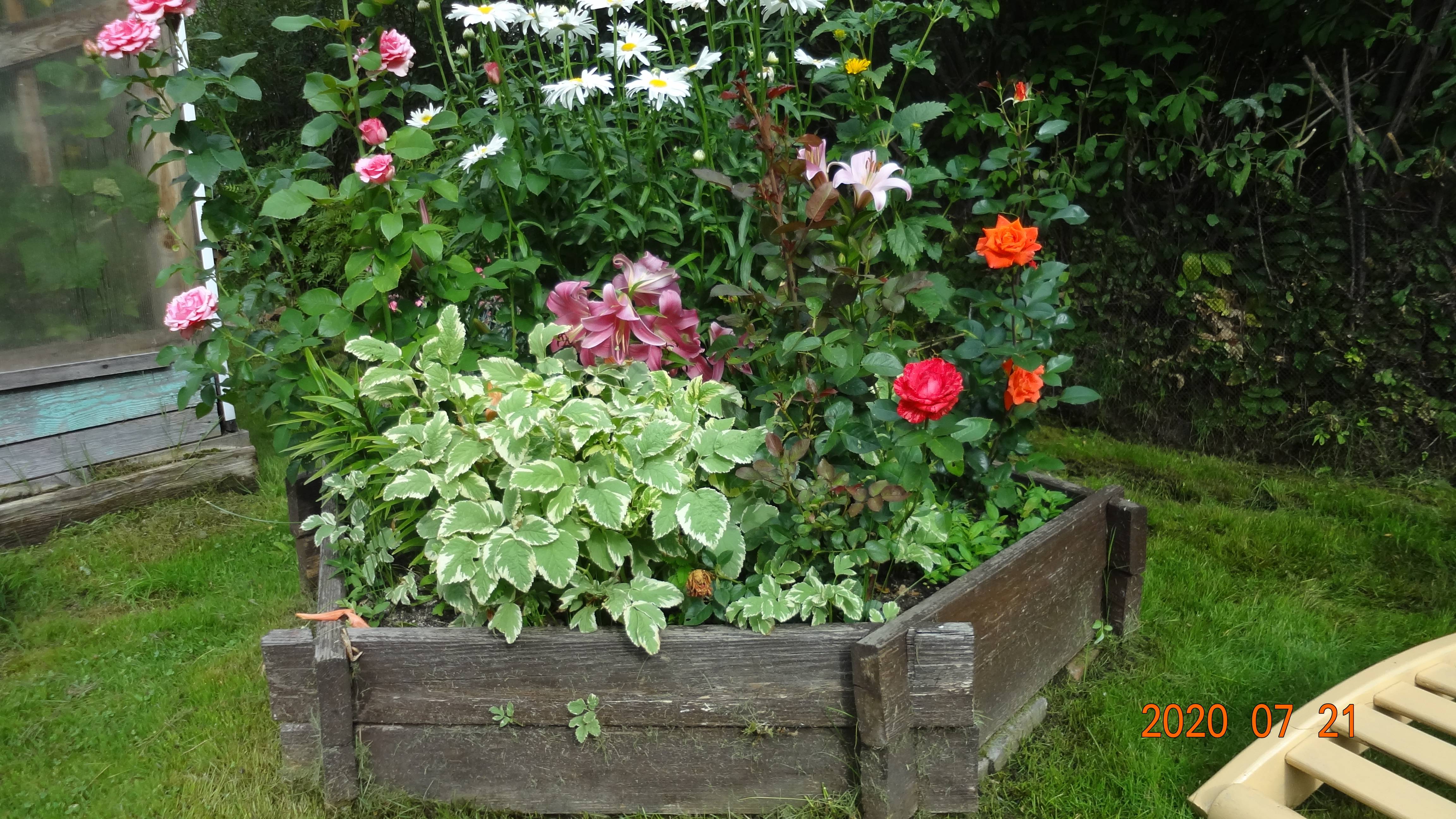 Репортаж с бобровой запруды ч.7