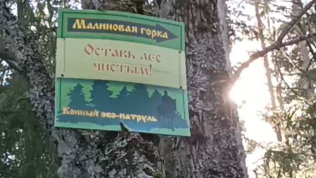 Экотропа __ Малиновая горка