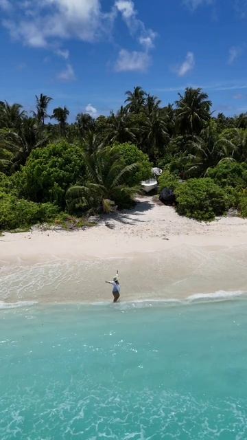 Поймать мгновение. Тодду 🌴🌞🥥