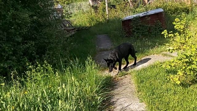 ВЫХОДНЫЕ/РУКОДЕЛЬНЫЕ ПОКУПКИ И НЕ ТОЛЬКО