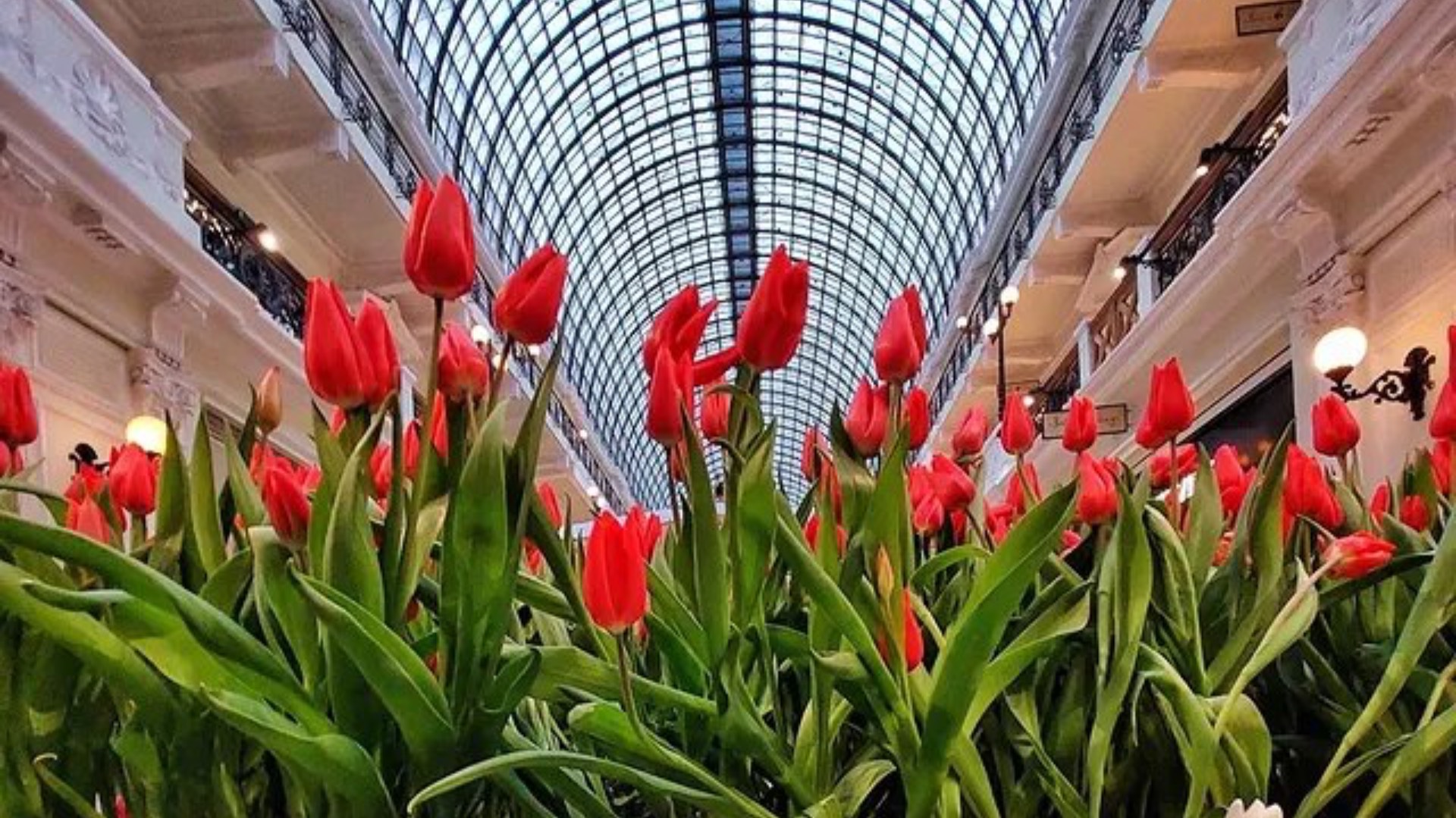 Петровский пассаж. Все в цветах. Один из самых красивых цветочных базаров в Москве.