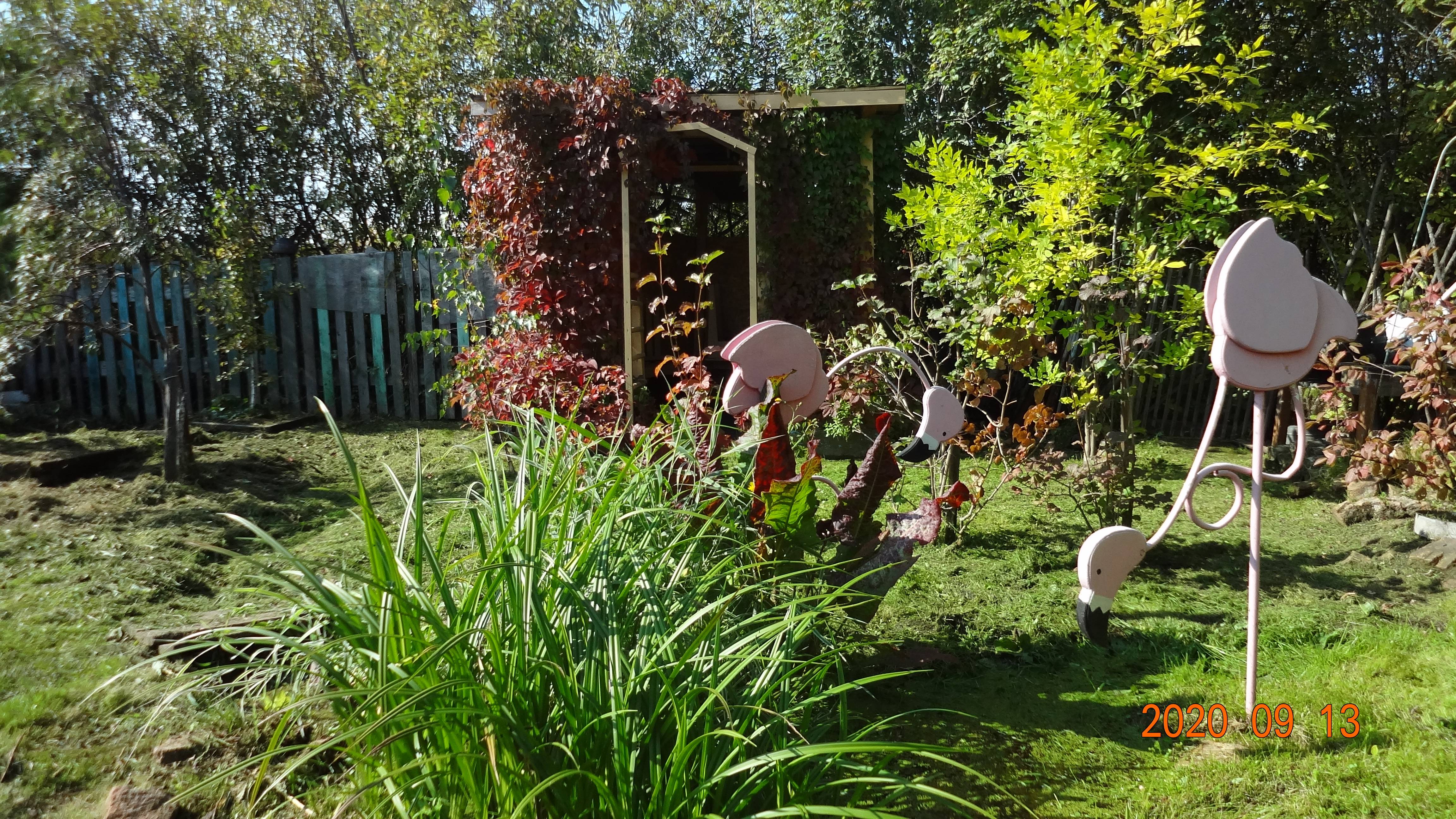 Репортаж с бобровой запруды ч.10