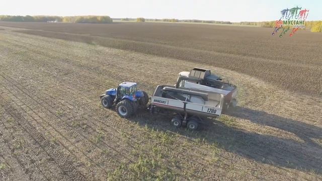 Механизатор о жатке Nardi Sunstorm. Такого еще не видел.