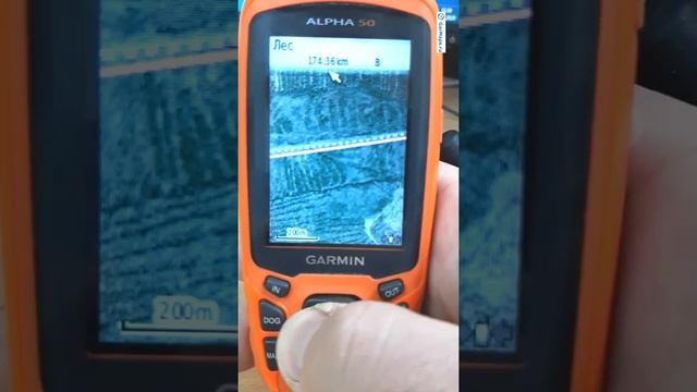 Популярный комплект карт для Собачьих навигаторов Garmin (Alpha, Astro)