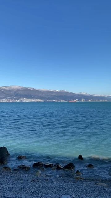 telegram-cloud-document-2-5373128353584793400