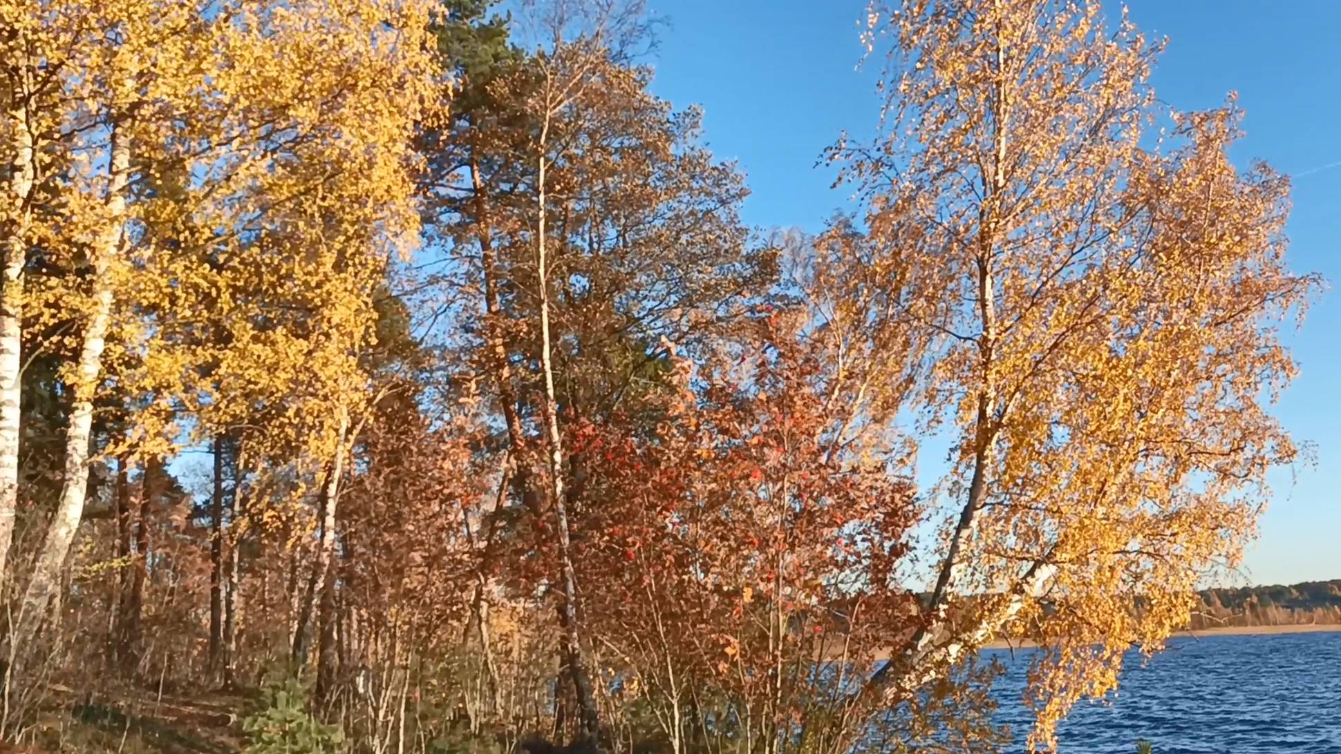 Золотая осень