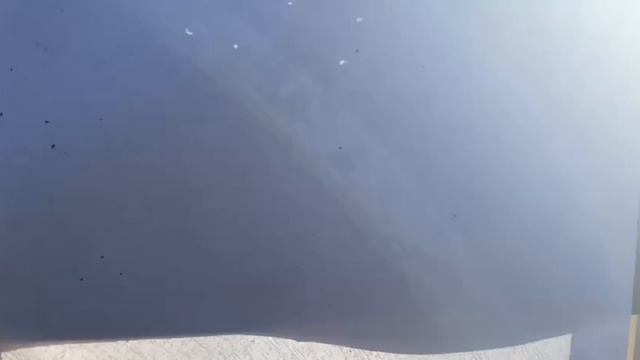 Дробью на 40 метров