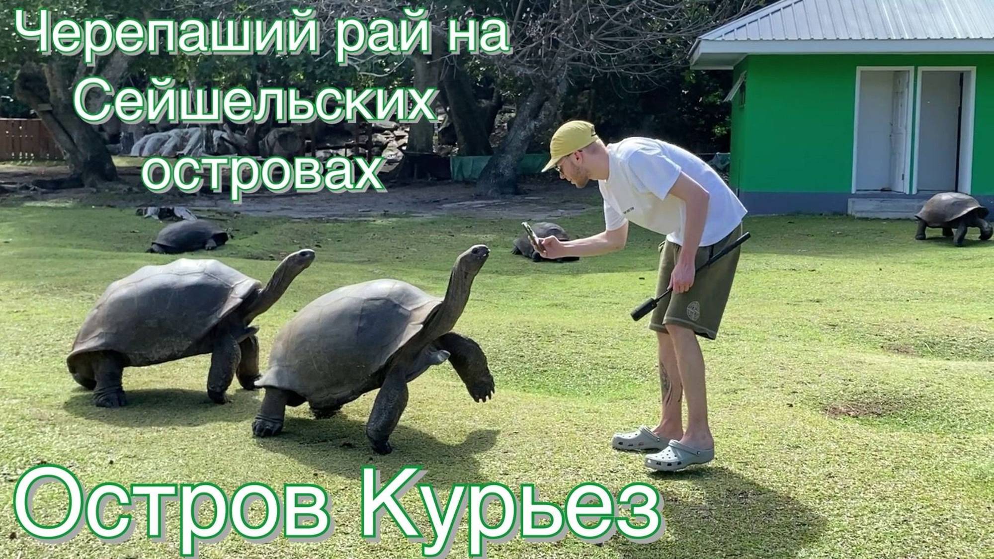 Черепаший рай на Сейшельских островах. Остров Курьез. Малоизвестные острова Сейшел