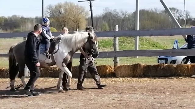 Иппотерапия