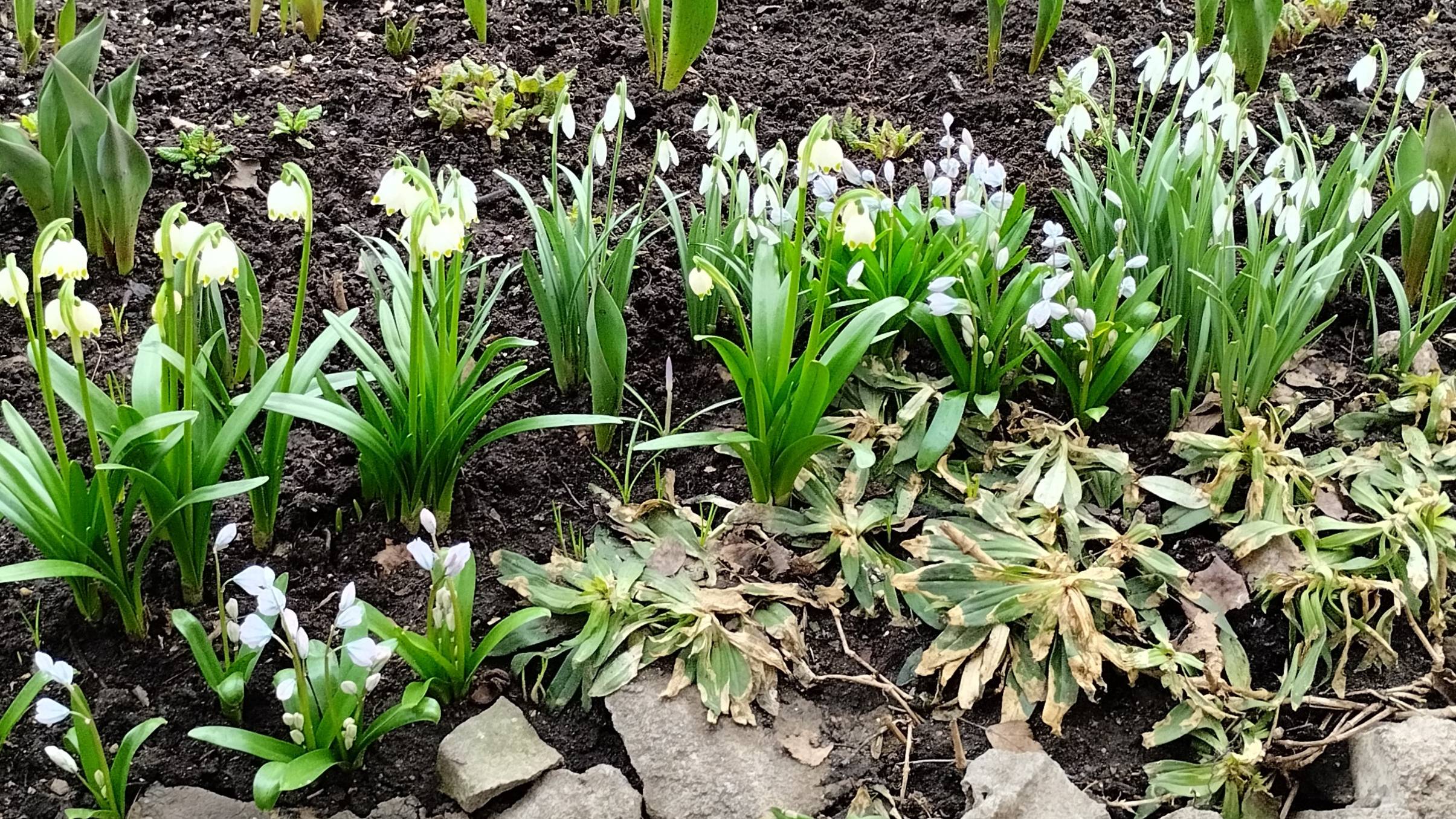 Весеннее полноводие