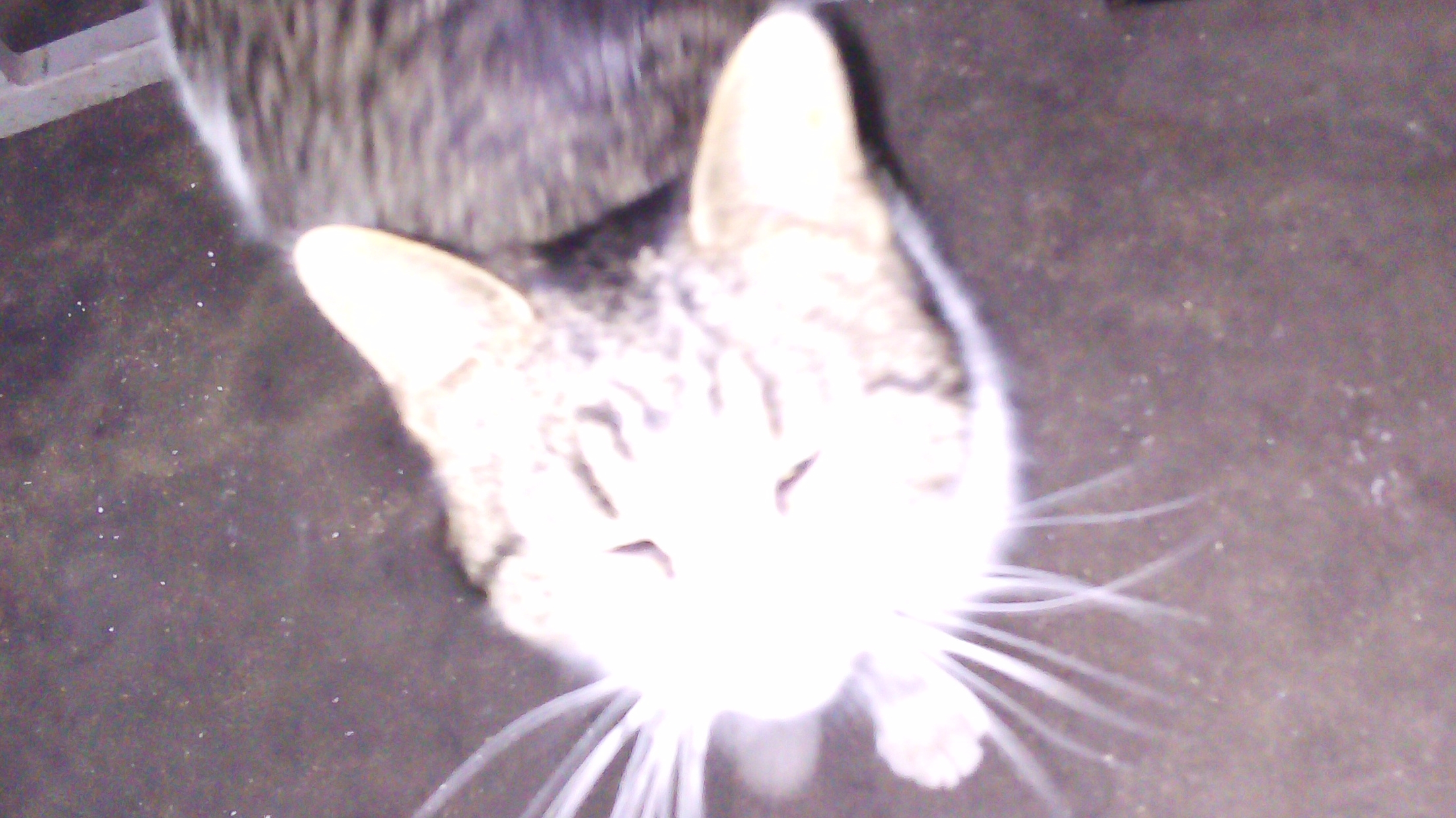 всем приветулки