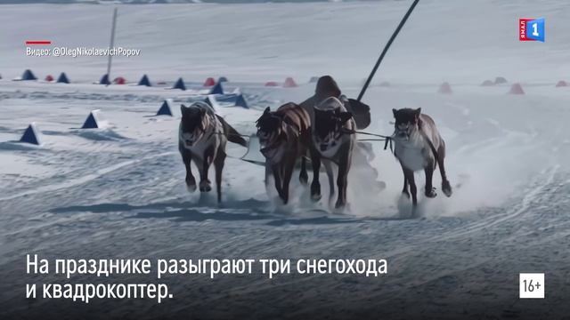 День оленевода продолжает кочевать по Ямалу