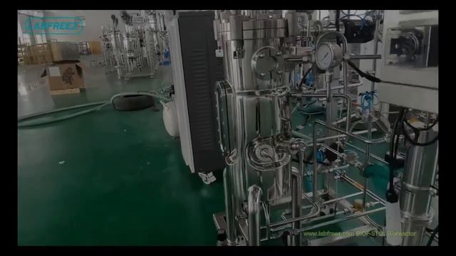 Полностью автоматический биореакторный ферментер из нержавеющей стали BIOF-S10L Labfreez