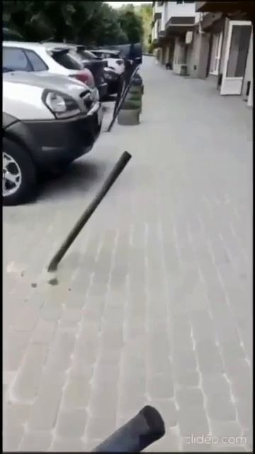 Женщина за рулем.  Юмор