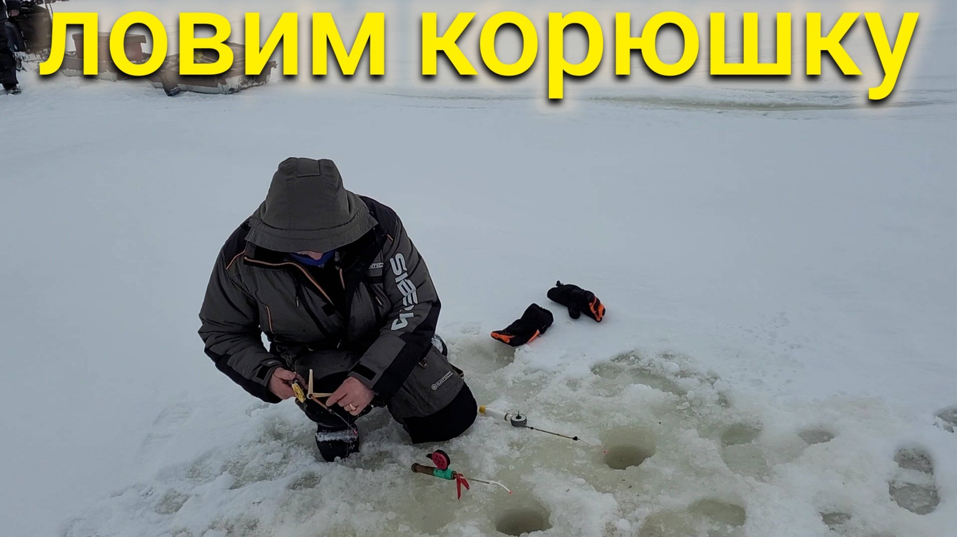 БЕЛОЕ МОРЕ ПОЕХАЛИ ЗА КОРЮШКОЙ