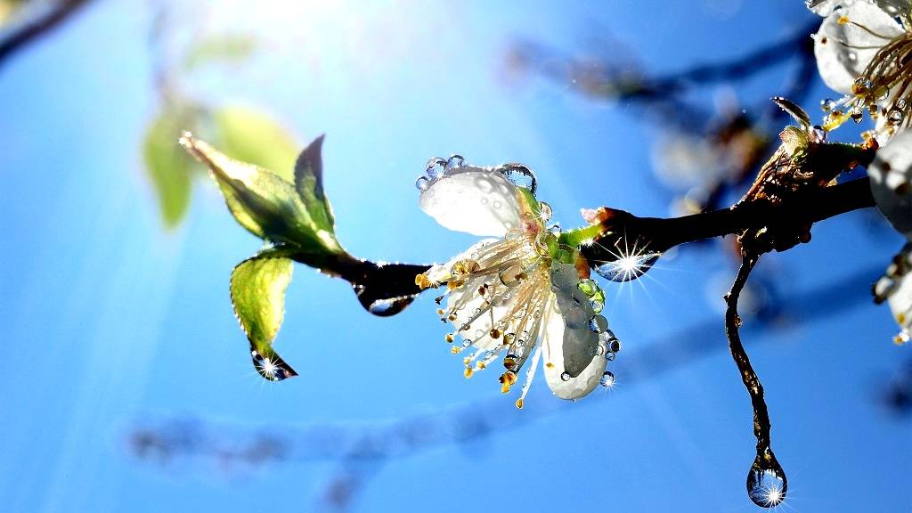 На всех уровнях власти