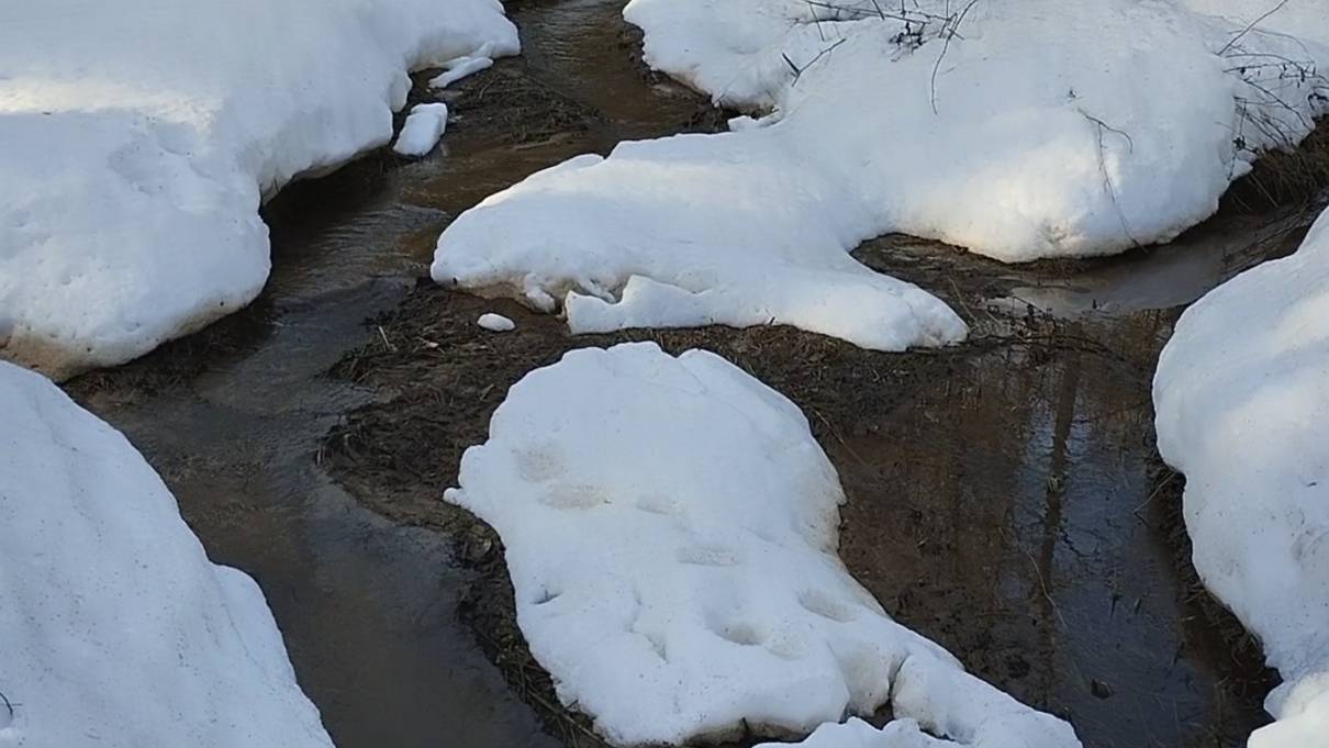 Весенний день