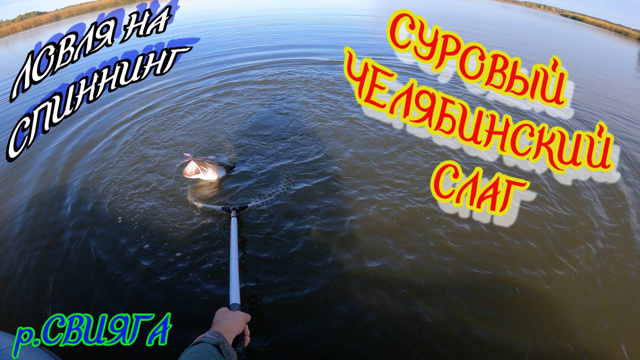 ДЖИГ. Я ПЕРЕД НЕЙ ИМ ТРЯС И ОНА ВЗЯЛА ЕГО В РОТ!