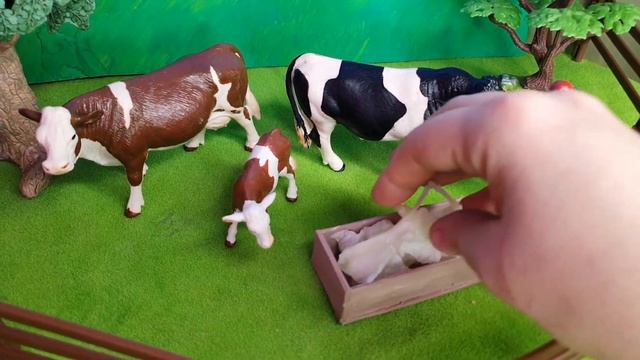 Обучающее видео для детей дошкольного возраста - Диорама Мини-ферма