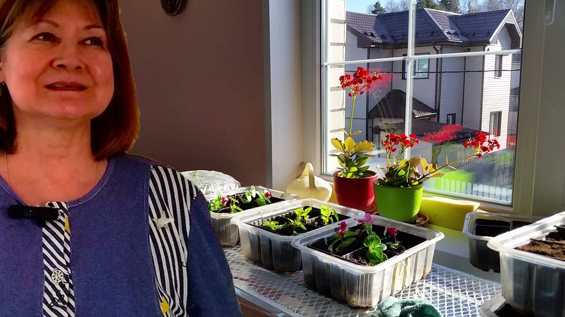 Пироженки на скорую руку. Первая рассада. Загородная жизнь.