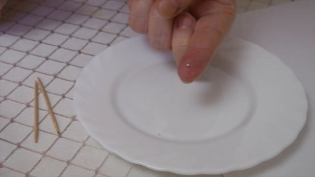 СЕЕМ ПЕТУНИЮ. ЕЩЕ НЕ ПОЗДНО.