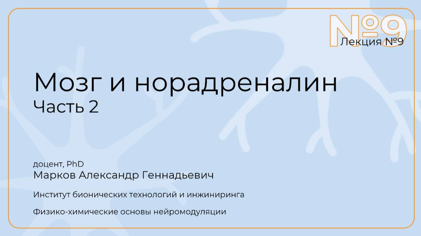 Александр Марков. Лекция 9. Мозг и норадреналин. Часть 2