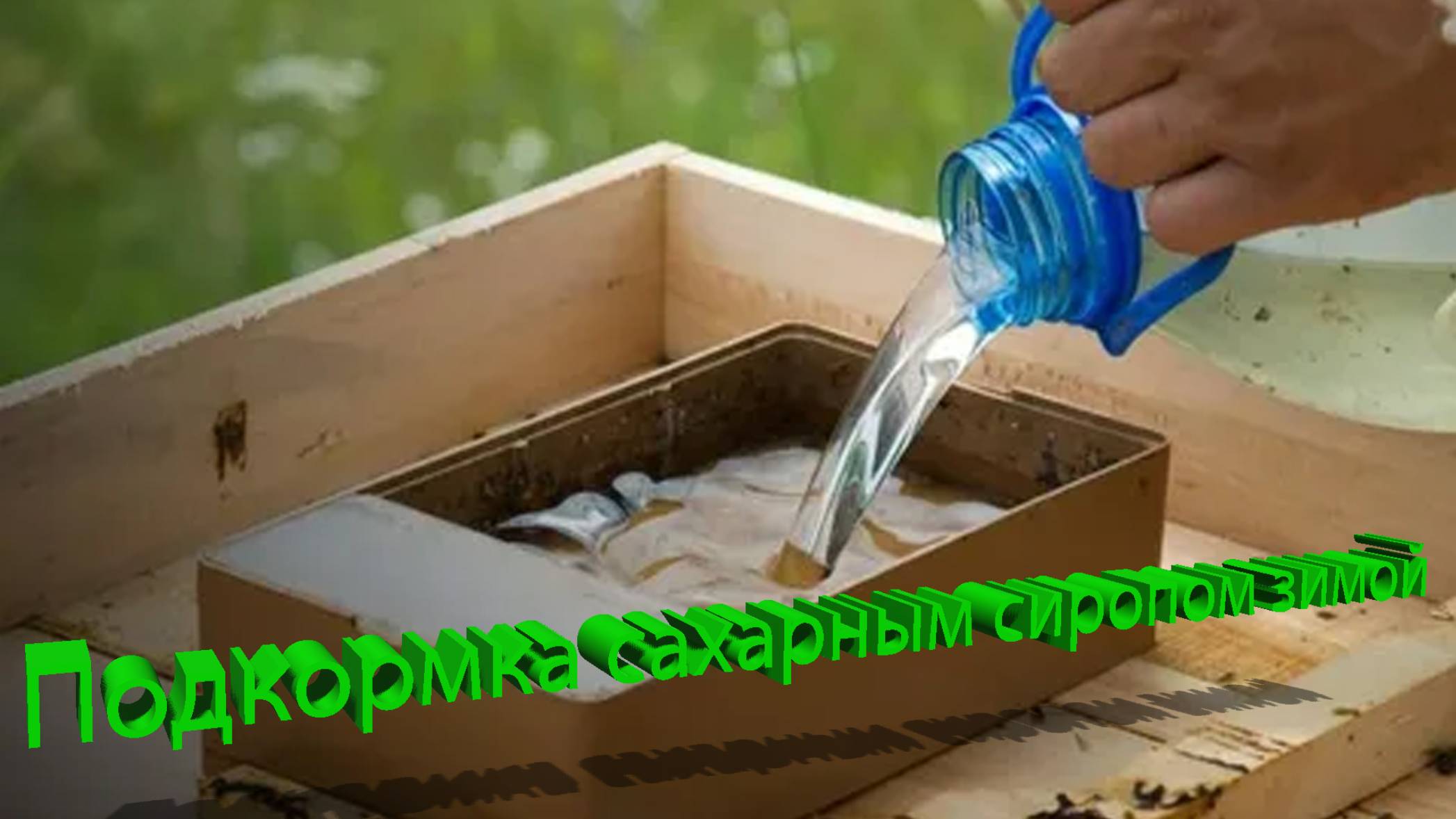 Профессор Кашковский: Использование сахарного песка зимой