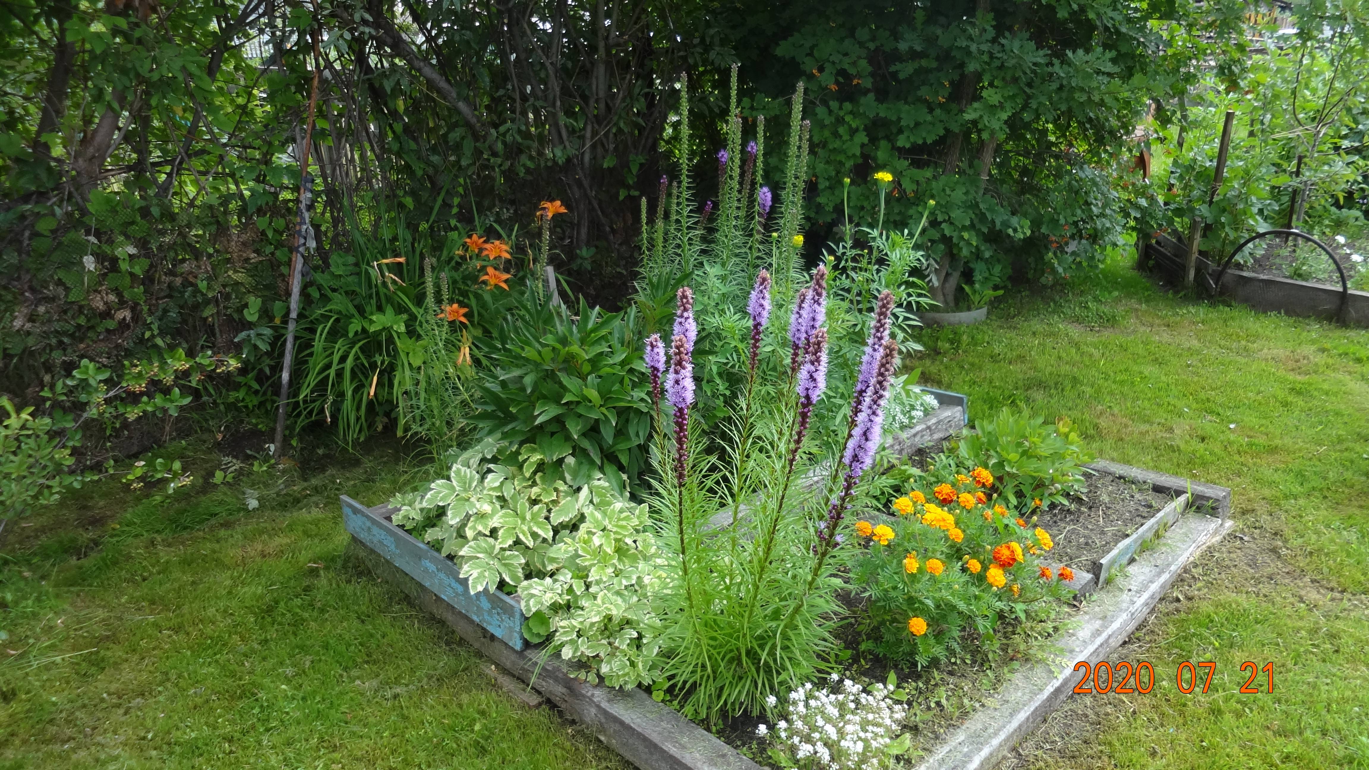 Репортаж с бобровой запруды ч.6