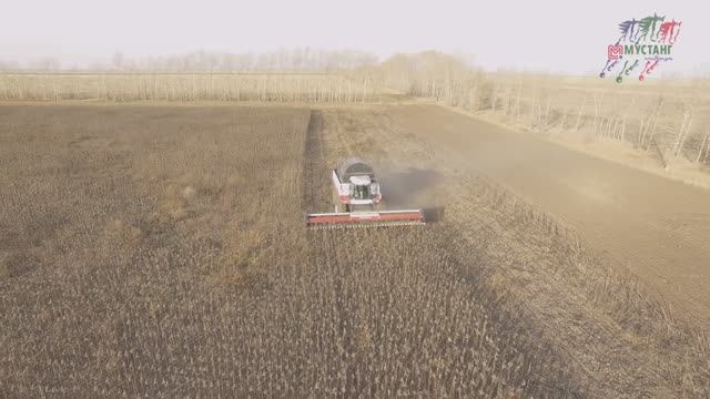 Nardi или Zaffrani. Ищем лучшую жатку для подсолнечника