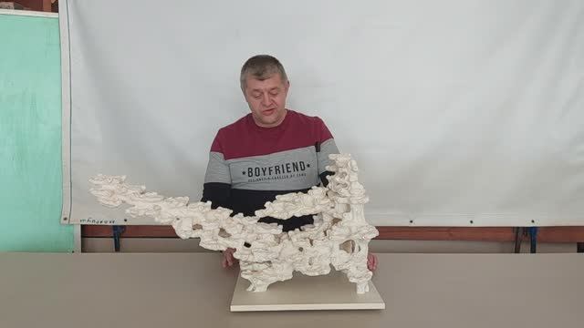 30225 Декорация для морского аквариума из биокерамики.