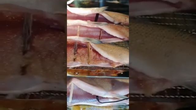 Чиры горячего копчения. Один чир фарширован красной икрой. ФАВ Пищевое оборудование.