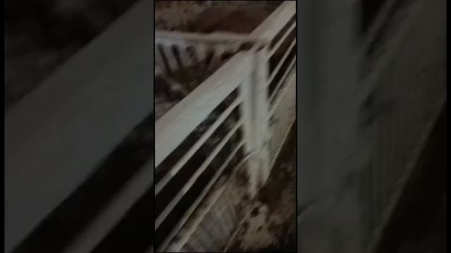 Свиноферма 2 часть