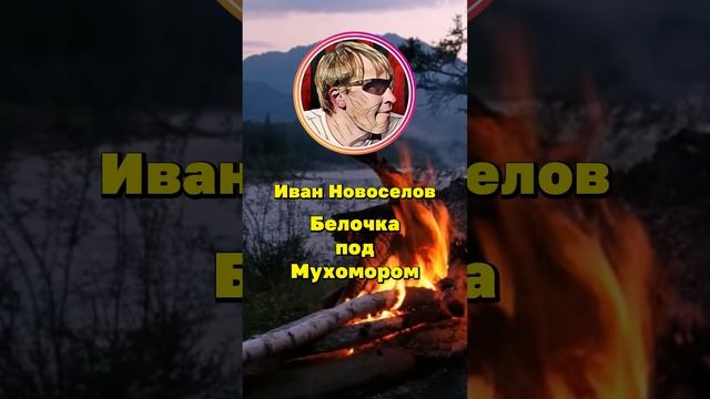 Белочка под Мухомором - песня Ивана Новоселова #ИванНовоселов #НовоселовИван #ivannovoselov