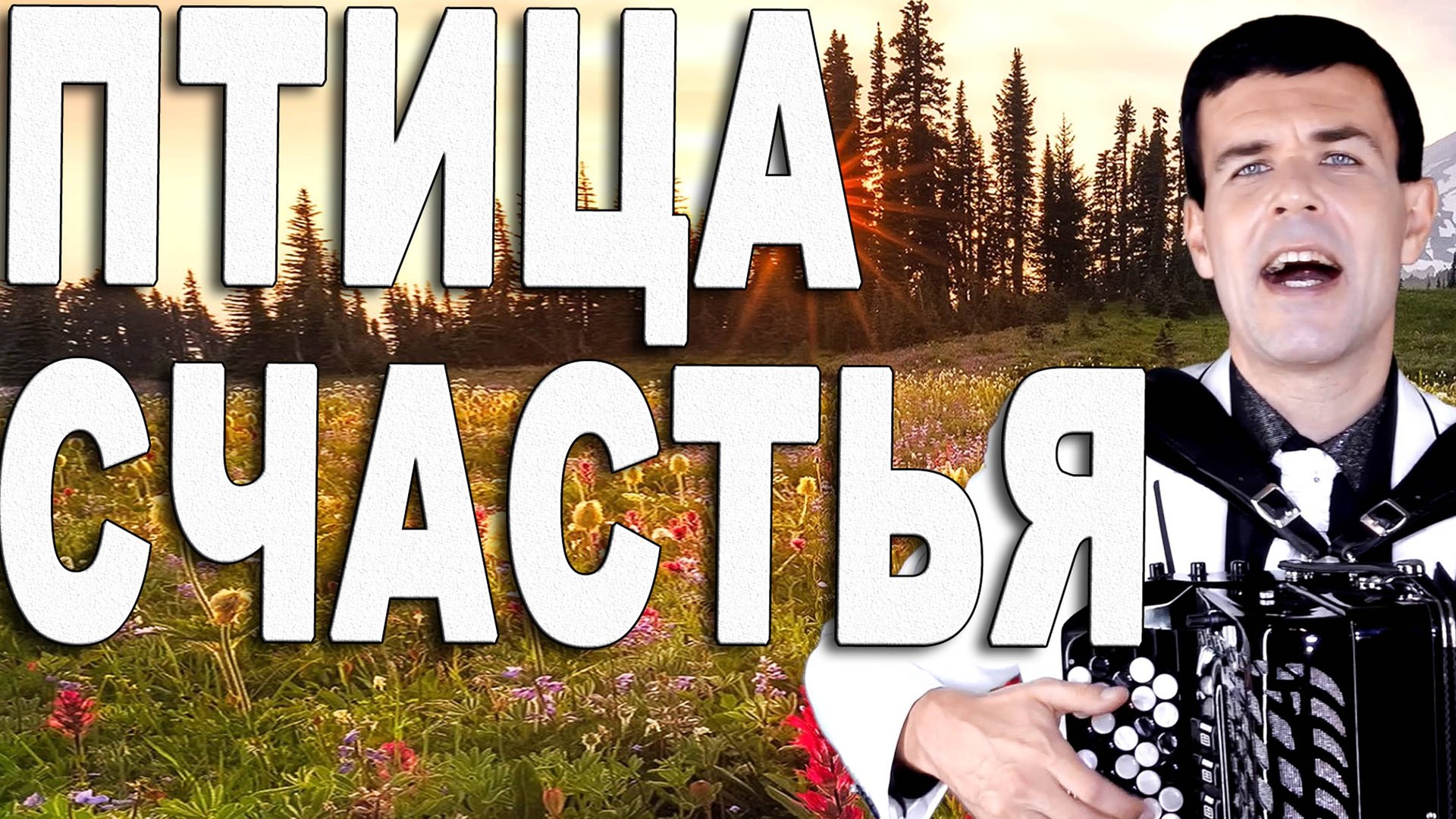 🕊Птица счастья под баян - поет Вячеслав Абросимов