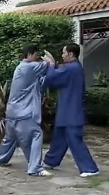 Ли Чжэн. Шуан туйшоу тайцзицюань