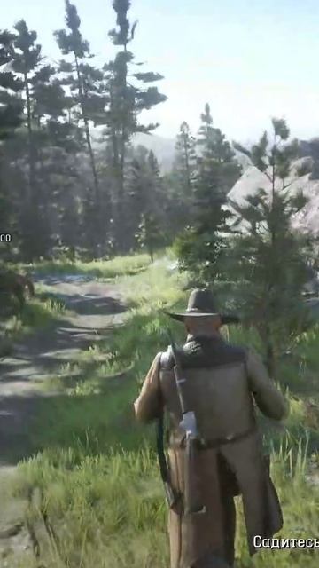 Засада влесу.