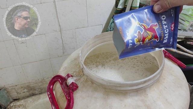 ТЭСТ ДРОЖЖЕЙ МИШКА ГОНИТ