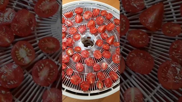 Вяленые томаты чери в сушилке