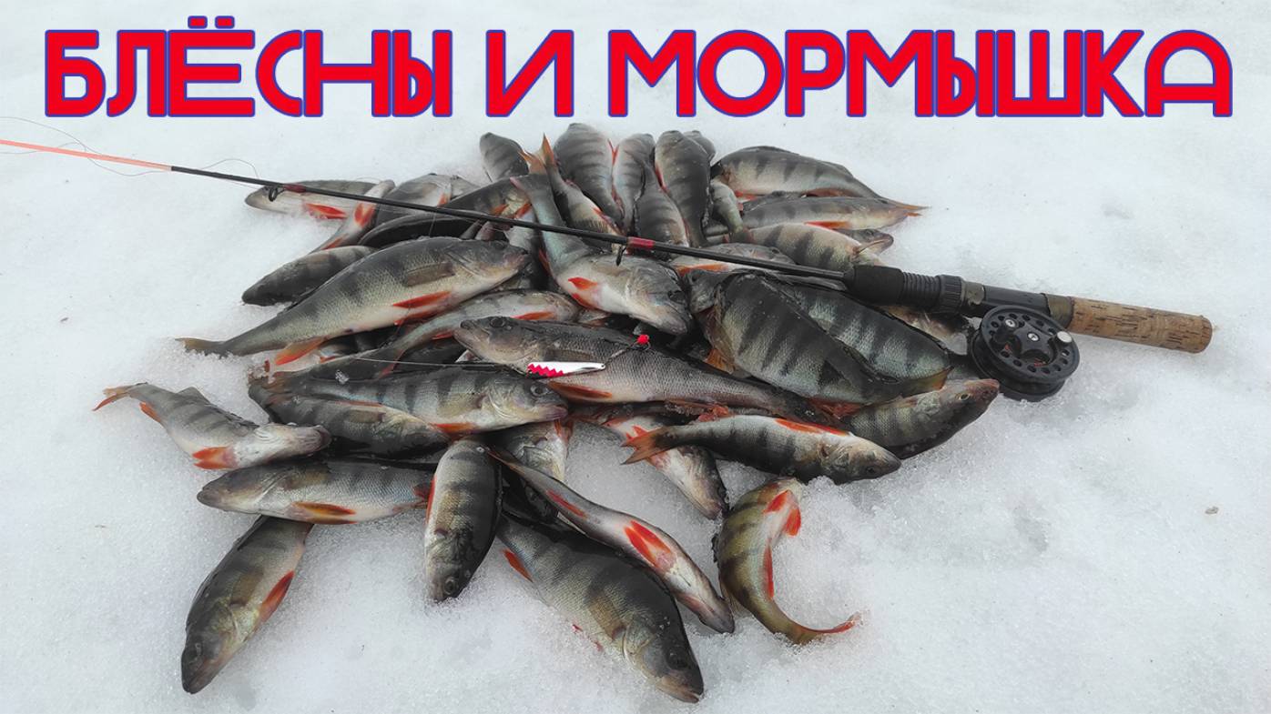 ЛОВЛЯ ОКУНЯ на блёсны и мормышку в марте.